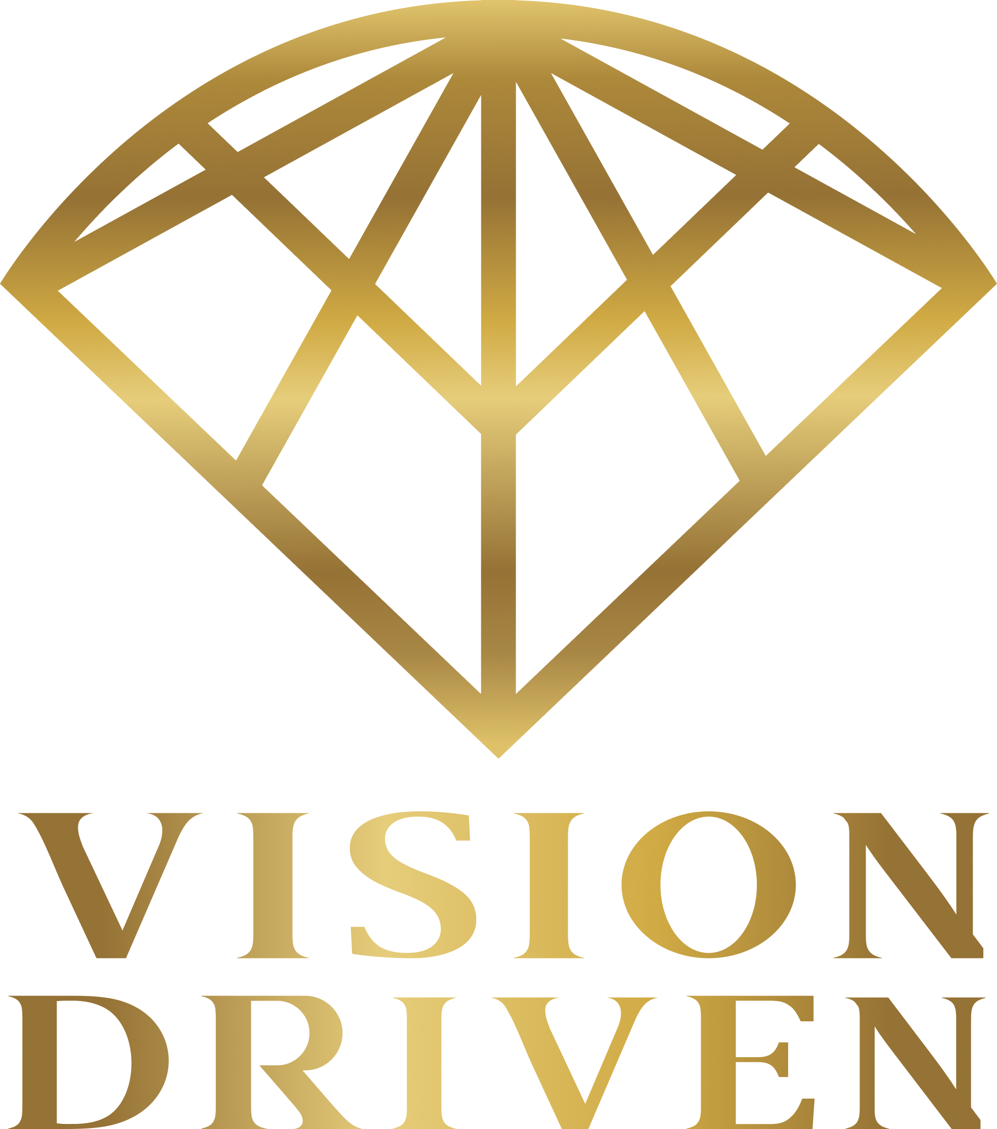Vision Driven Online Journey Waitlist TY Page Vision Driven Global