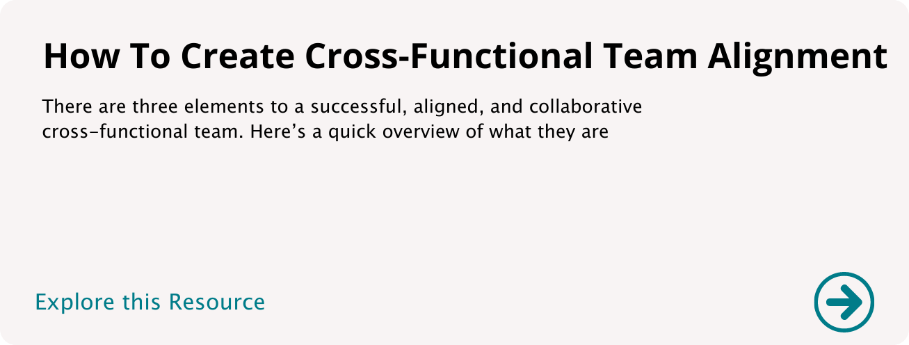Cross-Functional Team Alignment Overview - Vision Driven Global
