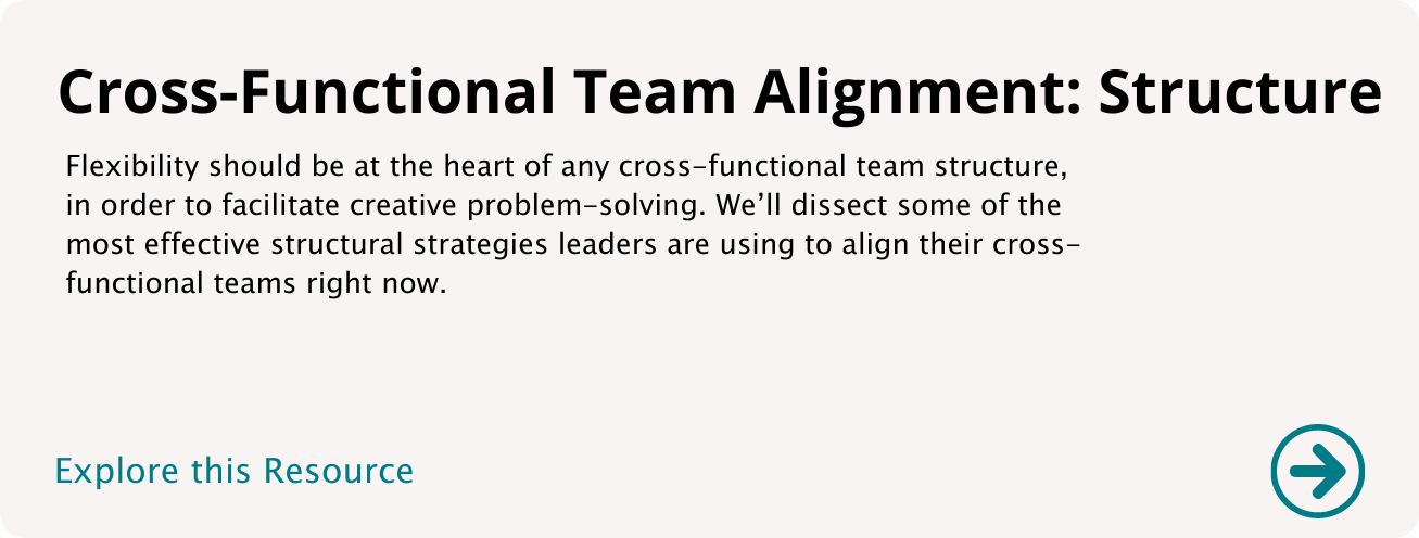 Cross-Functional Team Alignment Overview - Vision Driven Global
