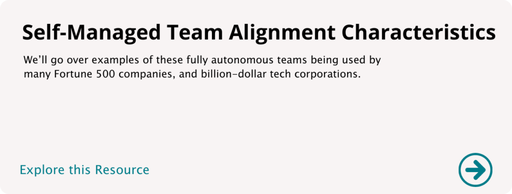 Self-Managed Team Alignment Overview - Vision Driven Global