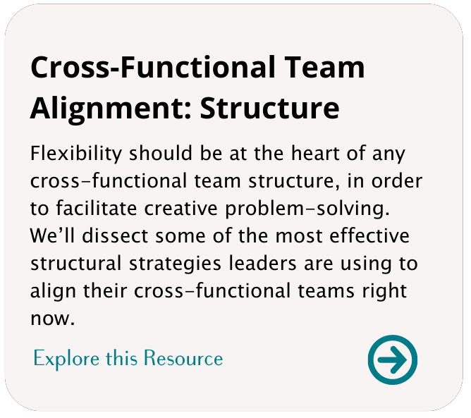 Cross-Functional Team Alignment Overview - Vision Driven Global