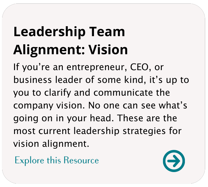 Leadership Team Alignment Overview - Vision Driven Global
