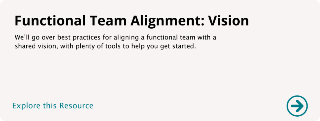 Functional Team Alignment Overview - Vision Driven Global