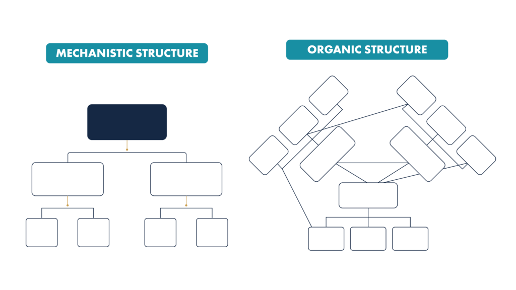 Functional Team Alignment - Vision Driven Global